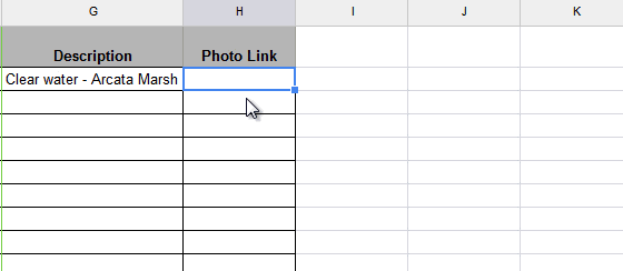 GSP 216 - NDVI Activity